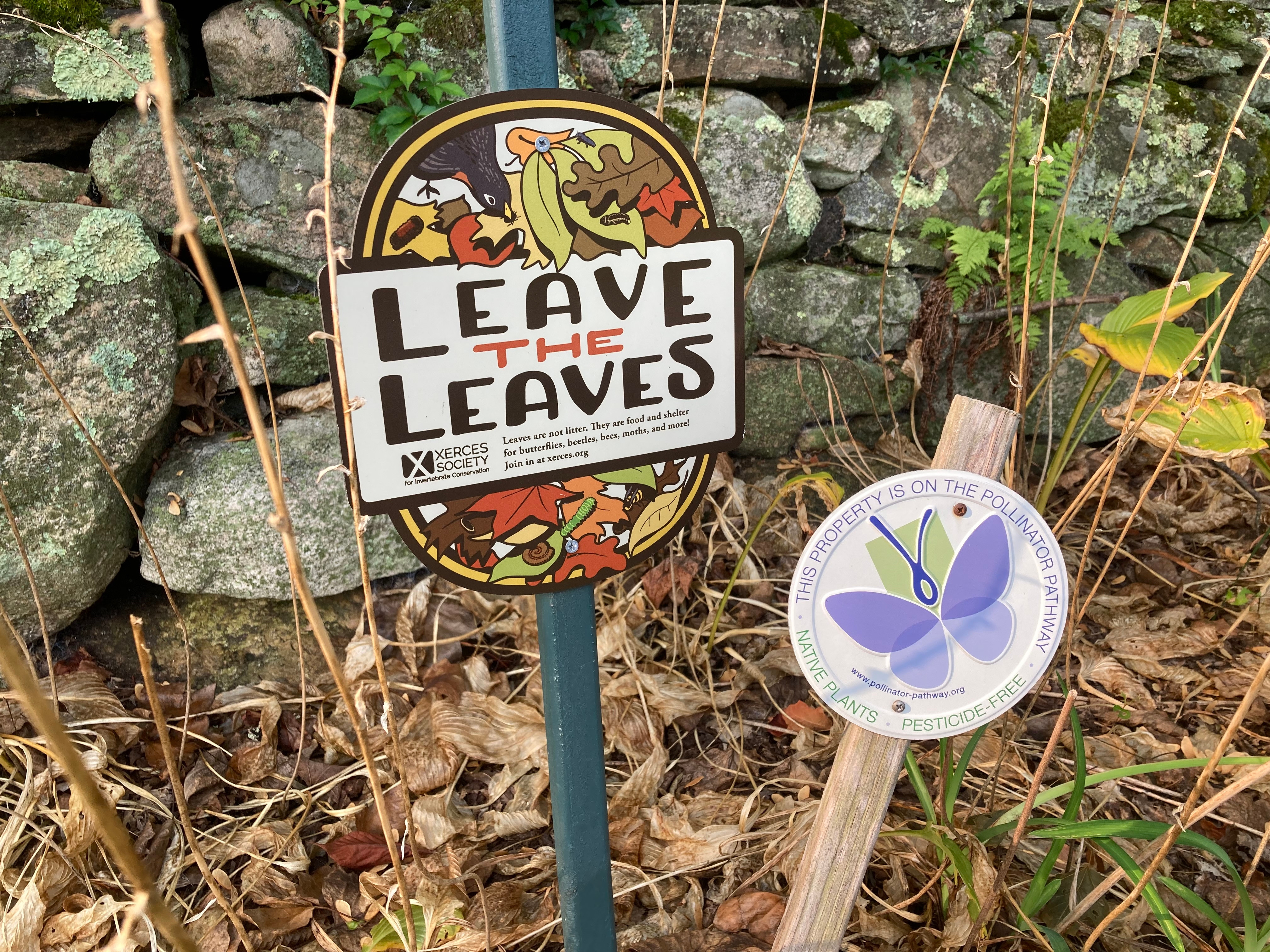 Fall 2025 Newsletter | Pollinator Pathway